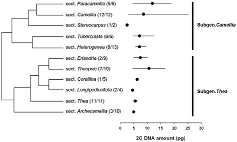 Nuclear Dna Contents And Evolutionary Relationships Among Members Of Download Scientific