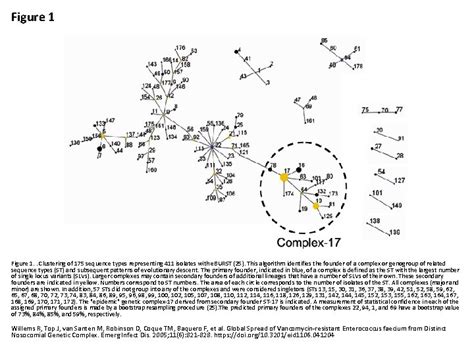 figure 1 clustering of 175 sequence types representing