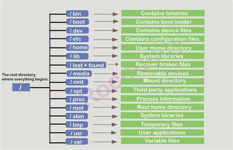 Master Linux File System Commands Easy Tips For Beginners Zeenom
