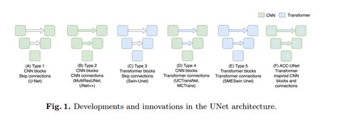 ACC UNet A Completely Convolutional UNet Model For The 2020s MICCAI2023 SwimmingLiu S Blog