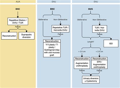 Guidelines On The Management Of Posterior Urethral Obstruction Due To Download Scientific
