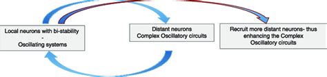 The Following Diagram Shows The Active Dynamic Nature Of Epileptogenic Download Scientific