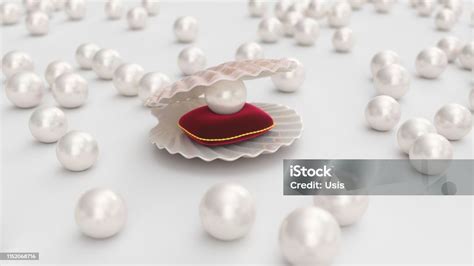 빨간 벨벳 베개 안에 진주가 있는 조개 보석 여성 쥬얼리 감아 구슬 배너 포스터 로고 반짝이는 바다 진주 조개 아름 다운 진주 3d 그림 가까운에 대한 스톡 사진 및 기타