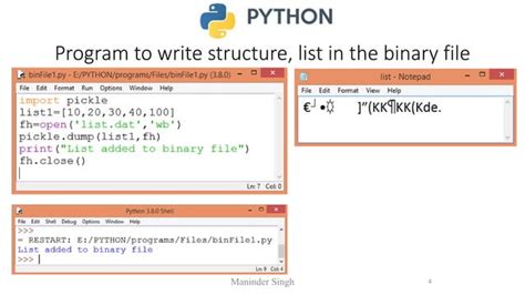 51 Binary File Handlingpdf Programming Languages Computing