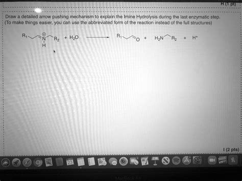 SOLVED: Draw a detailed arrow-pushing mechanism to explain the Imine Hydrolysis during the last ...