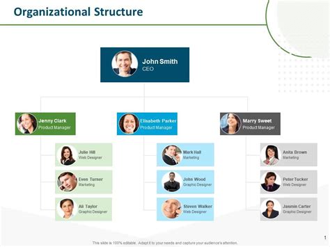 Organizational Structure Ppt Powerpoint Presentation Model Vector PowerPoint Slides Diagrams