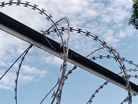 Barbed Wire In A Prison Or In The Army Sharp Military Security Fence Close Up Image Stock