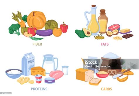 단백질과 탄수화물 식이 식품 섬유질과 지방 유기농 곡물과 유제품 야채와 과일 플랫 만화 세트 식품 섬유 단백질 영양소 육류 및 치즈 영양 다이어트 복합 식품 개체 그룹에