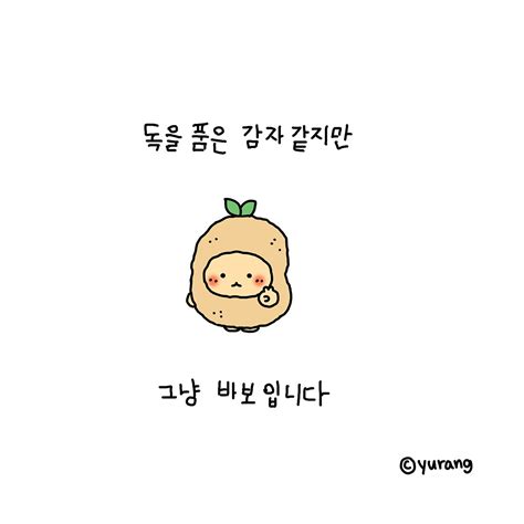 모든 감자들을 위한 짤 인스티즈 Instiz 이슈 카테고리