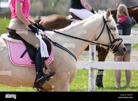 Palomino Thoroughbred Racing