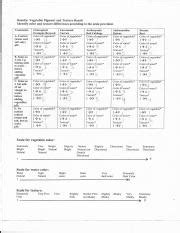 Lab Report Pdf Course Hero