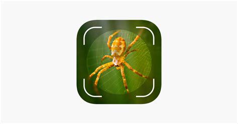 ‎bug Identifier By Picture Na App Store