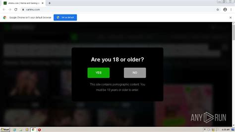 Malware Analysis Malicious Activity Anyrun