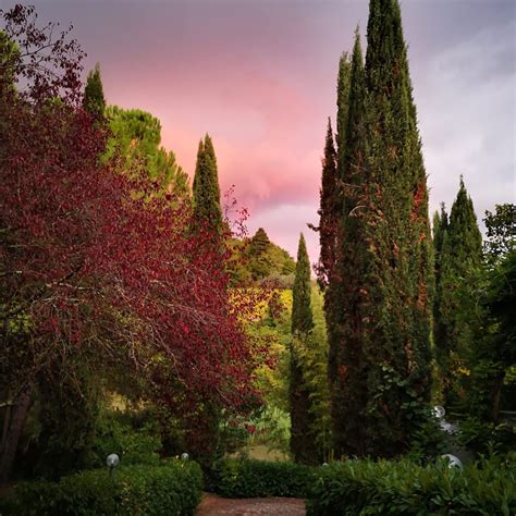 Chianti Classico Experience Food And Wine Atelier