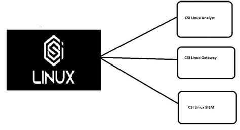 New Linux For Cyber Forensics And Investigators CSI Linux