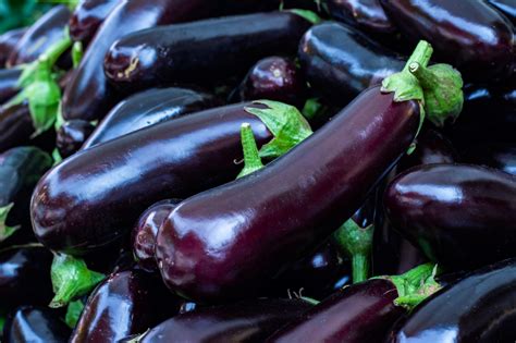 Lilek Vejcoplodý Žijte Ve Své Zahradě