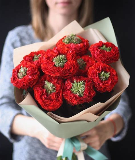Роза рэд ай Red eye rose | Здоровый, Айт, Букет