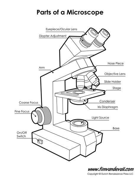 Microscope Diagram Tims Printables