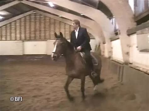 Ranch Porn Videos With Alluring Outdoor Sex Xhamster