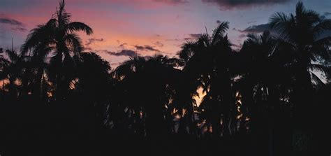 Ambient Exotic Background Music Ambient Sounds
