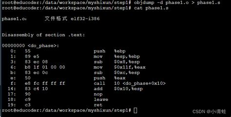 数据与elf数据节 计算机系统基础题目本关任务修改二进制可重定位目标文件 Phase1o”的数据data节内容不允许修 Csdn博客