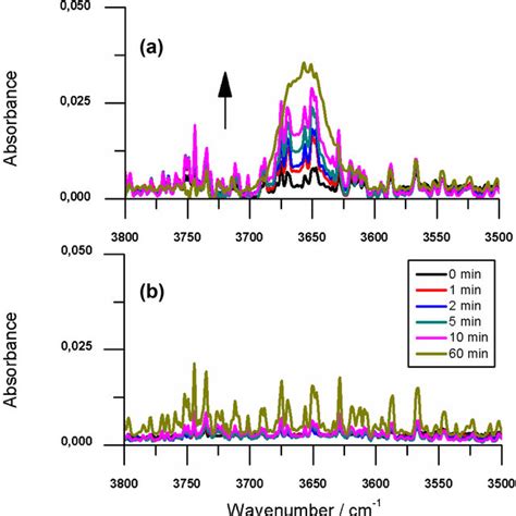 Equilibria Contributing To The Isosbestic Point At 1730cm1 Associated Download Scientific