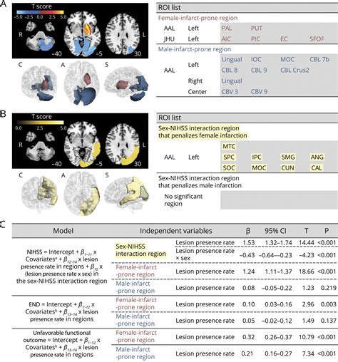 Biological Mechanism Of Sex Difference In Stroke Manifestation And Outcomes Neurology