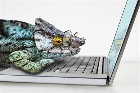 Suse Launches A Cloud Observability Service Techcrunch