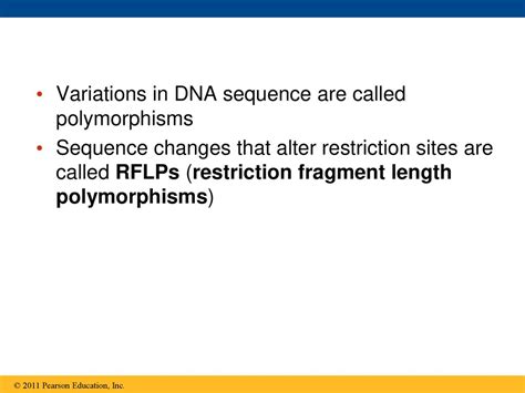 biotechnology the dna toolbox ppt download