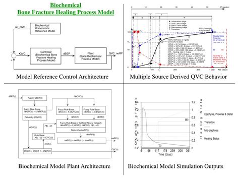 Ppt Examples Of Modeling And Simulating Large Scale Complex Systems Processes And Behaviors