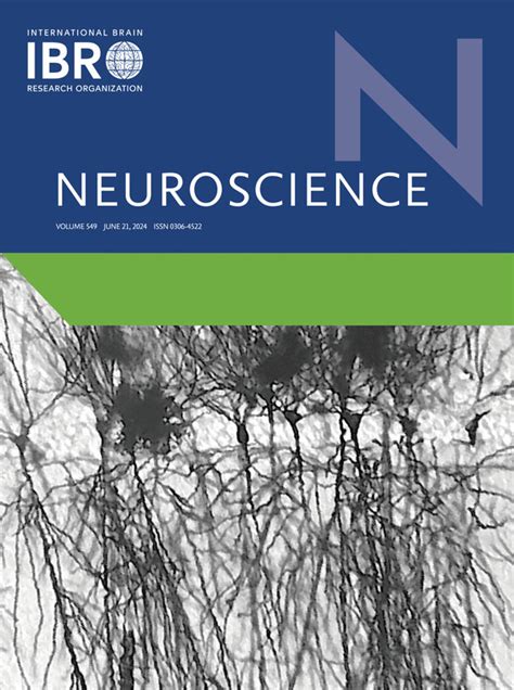 Home Page Neuroscience