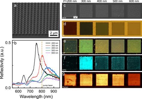 Arrays Of Tmd Nanodisks A Tilted View Sem Image Of Tmd Nanodisk