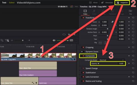 Davinci Resolve Add To Render Queue” Gray Button Solved