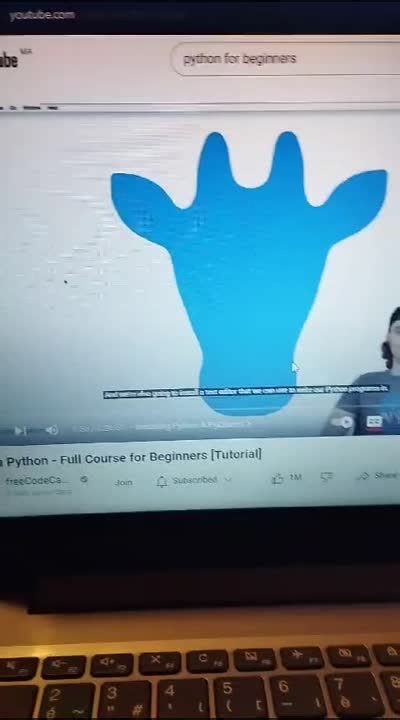 Youtube Launches Ai Dubbing Tool Bahae Eddine Halim Posted On The