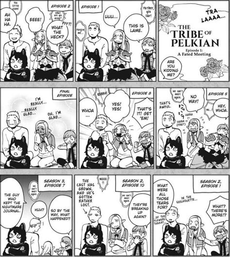 Best Izutsumi Images On Pholder Dungeon Meshi Catgirl Sfw And Kanojo