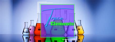 Beyond The Big Three Trace Elements For Coral And Reef Health Manta Systems