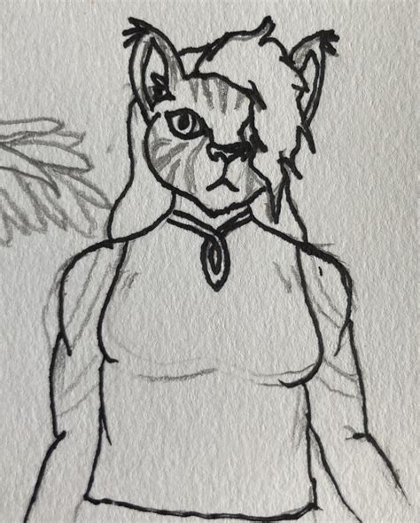 Anthro Girl By Freefallingup13 On Deviantart