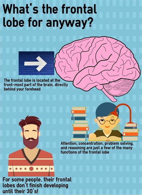 Frontal Lobe Physiopedia