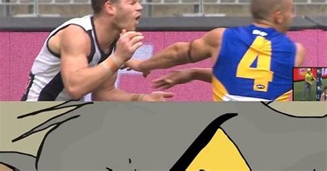 Sheed Is A Kung Fu Master Album On Imgur