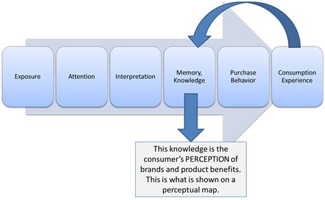The Perceptual Process Perceptual Maps For Marketing