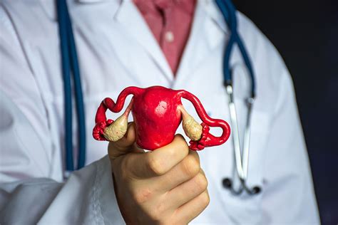 Enlarged Uterus Causes Symptoms And Treatment