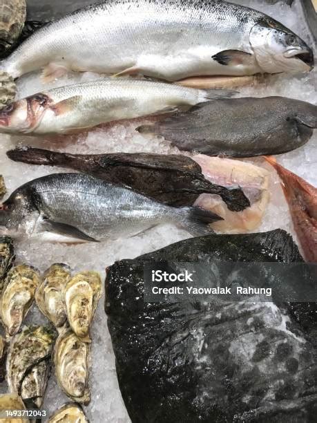 생선 새우 조개류 오징어 등 신선한 해산물이 얼음 위에 아름답게 배열되어 있습니다 0명에 대한 스톡 사진 및 기타 이미지 0명 건강한 생활방식 건강한 식생활 Istock
