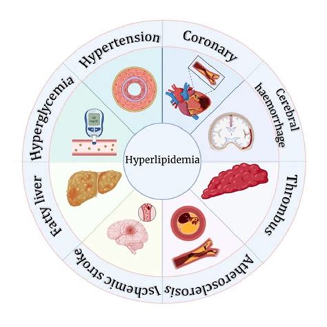 Complications Of Hyperlipidemia Hlp Download Scientific Diagram