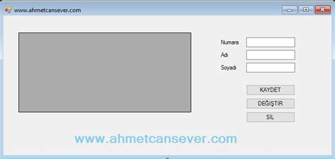 C Windows Form Entity Framework Veritabanı Bağlantısı Web Tasarım Programlama