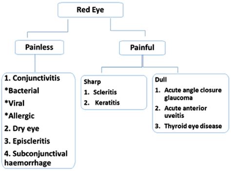 Figure 1 From The Red Eye—more Than Meets The Eye Semantic Scholar