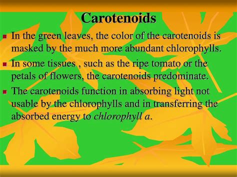 Ppt Photosynthesis Powerpoint Presentation Free Download Id5801628