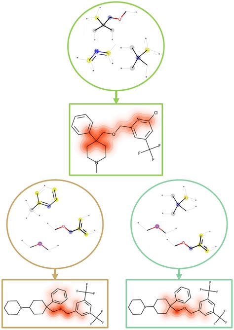 Explaining Accurate Predictions Of Multitarget Compounds With Machine