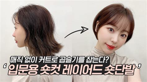 자기주장 강한 반곱슬 매직없이 숏단발로 정리하기 Youtube