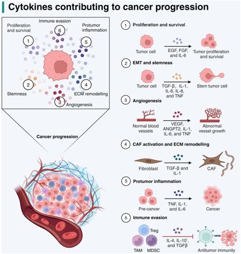 Alexandre Deshiere On Linkedin Targeting Cytokine And Chemokine Signaling Pathways For Cancer
