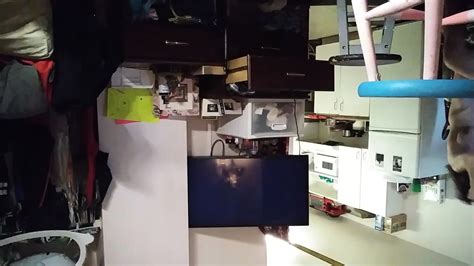 Methed Out And Doggy Eporner